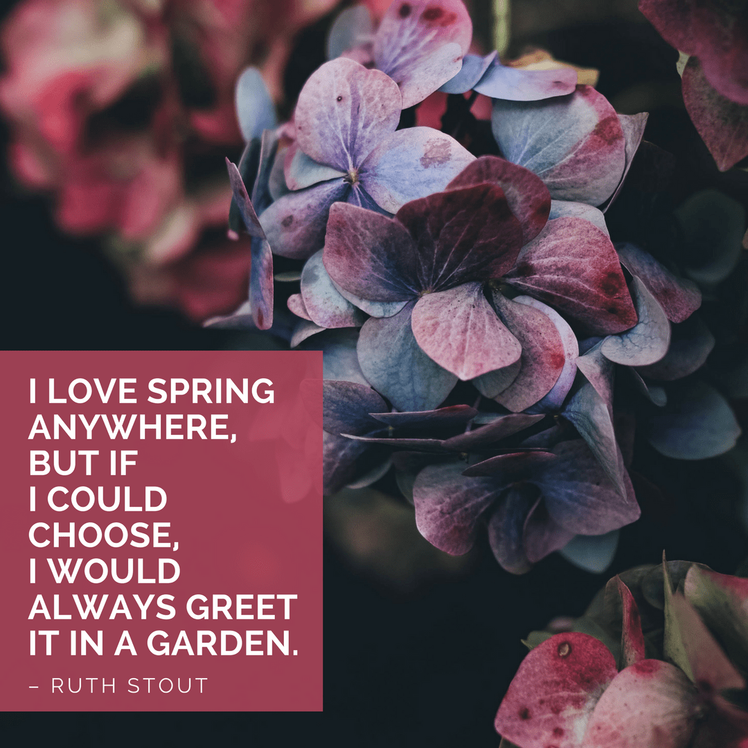 Spring Love Quotes
