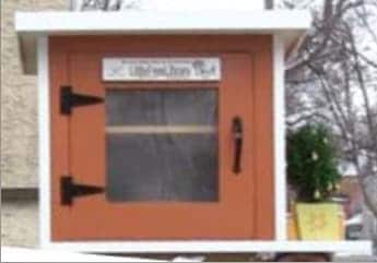 8 Little Free Library Plans to Inspire Your Community Project - TCK ...