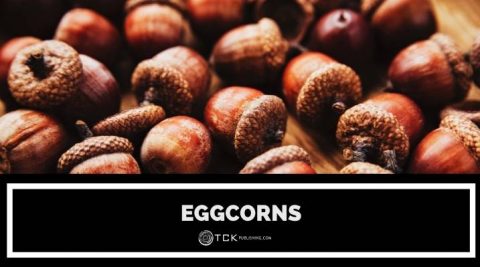 11 Common Eggcorns and the Real Phrases Behind Them - TCK Publishing