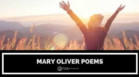 7 Mary Oliver Poems That Will Make You Appreciate Nature - TCK Publishing