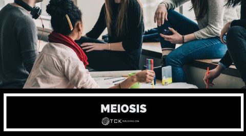 What Is Meiosis in Rhetoric? Definition and Examples - TCK Publishing